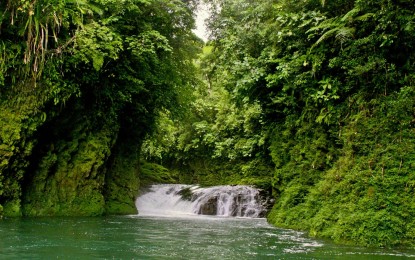 Samar Nature Park on tentative list of UNESCO World Heritage Site ...