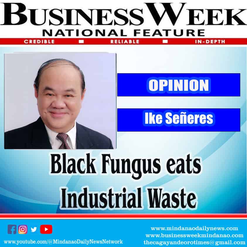 Black Fungus eats Industrial Waste - Business Week National
