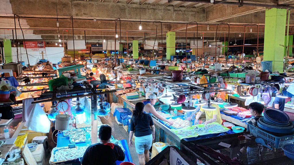 City Hall pushes back against alleged recent leptospirosis cases that ...